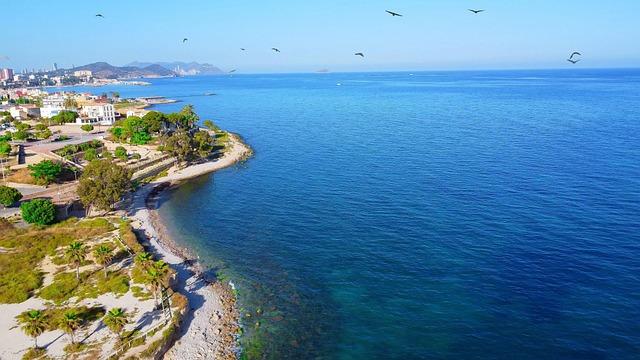 Best Hand Blender – Cuisinart Mini Prep Pro Review – Simplify household ...